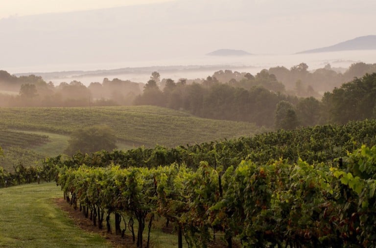 Georgia wine country recognized - Georgia Trend Magazine