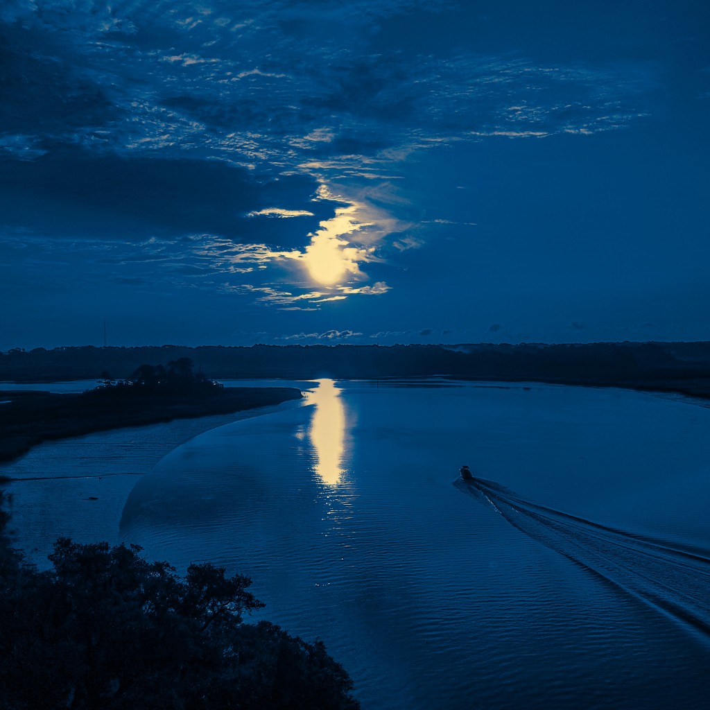 Savannah summer photo contest winners announced - Georgia Trend Magazine