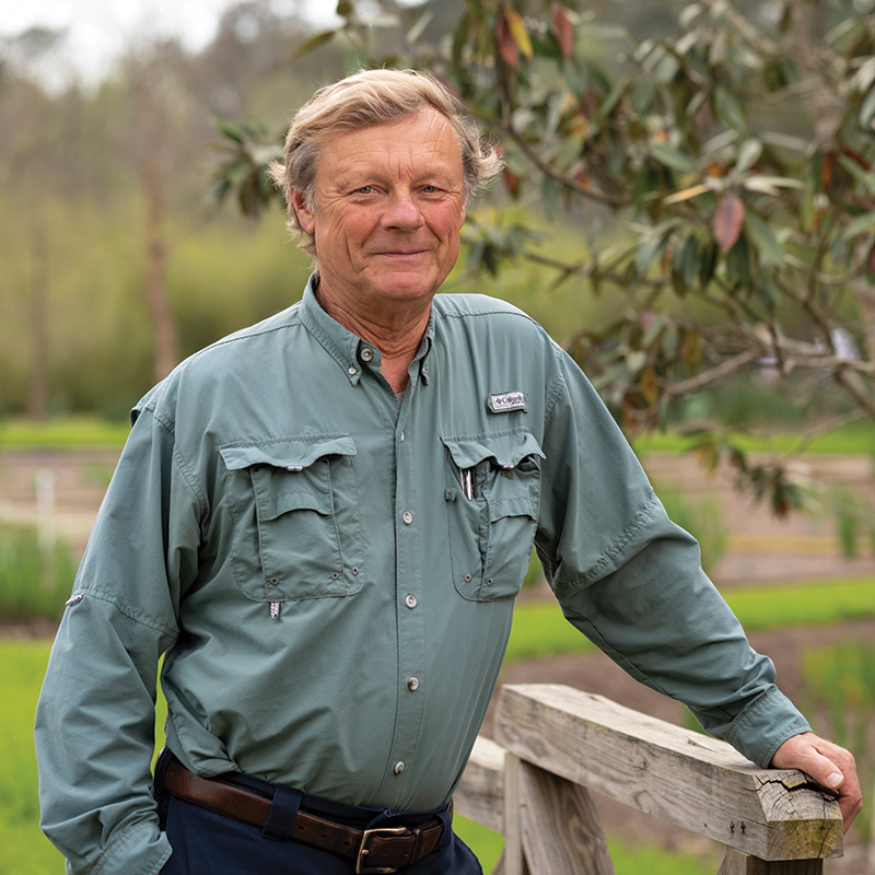 Savannah | Chatham County: An Exciting Time - Georgia Trend Magazine