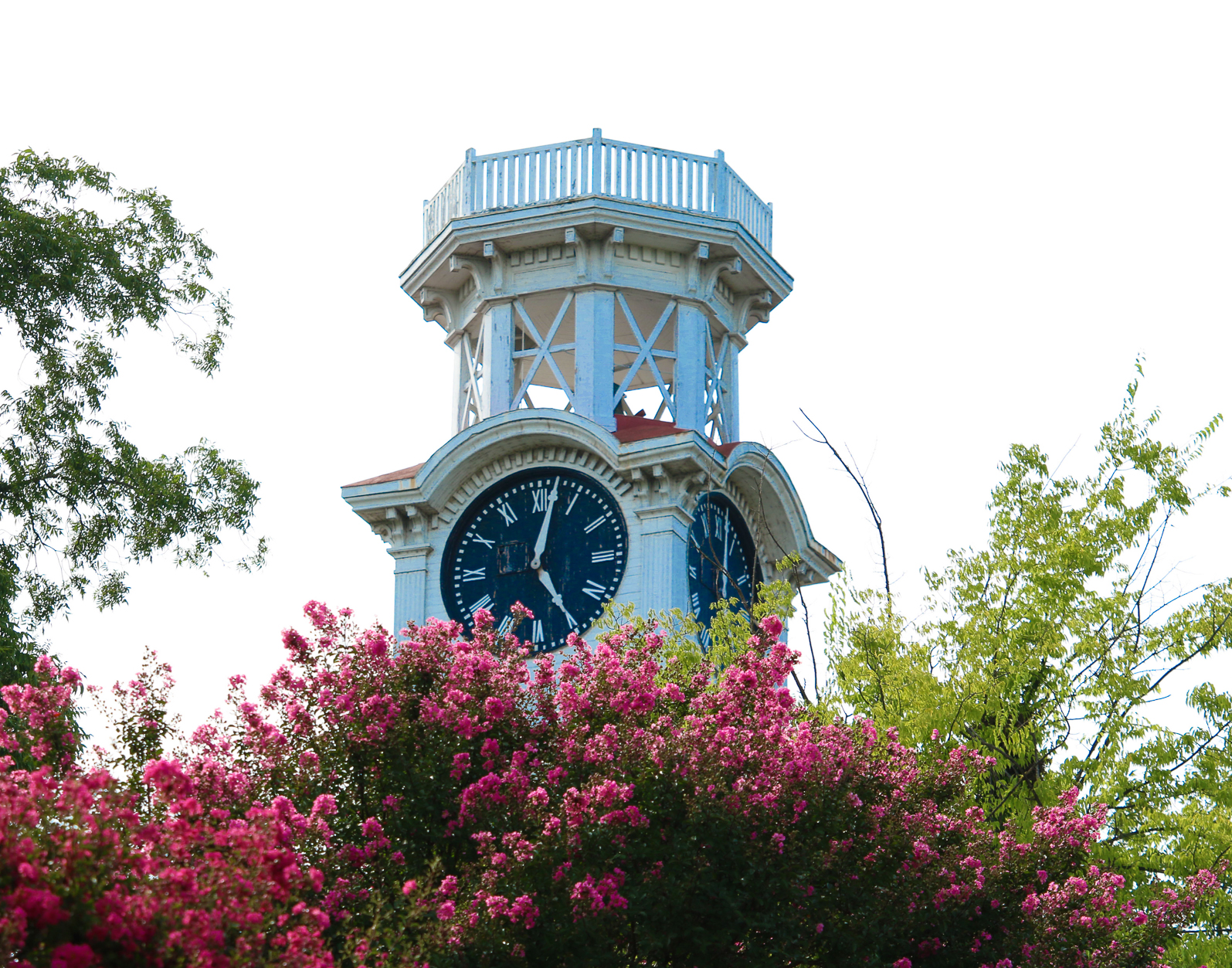 Continued Growth for Rome - Georgia Trend Magazine