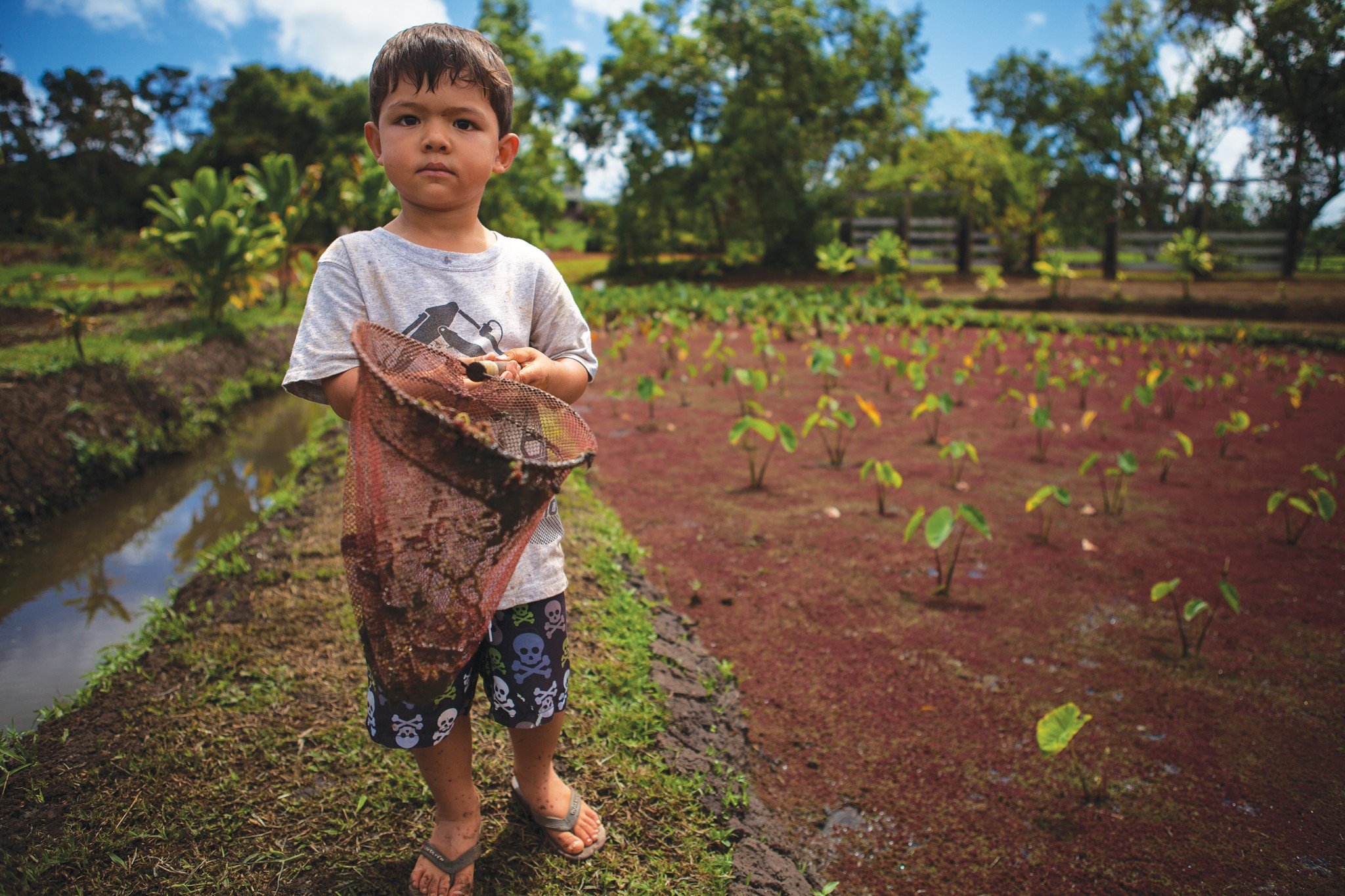 The Value of Heeia - Hawaii Business Magazine