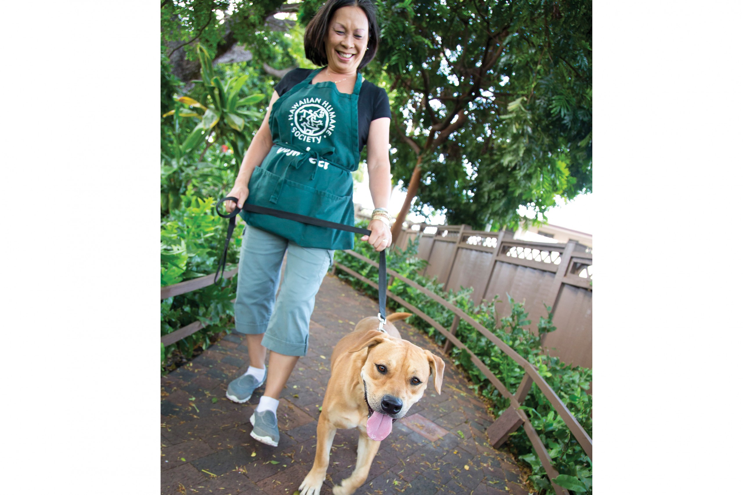 Pau Hana Volunteers With Shelley Pang - Hawaii Business Magazine