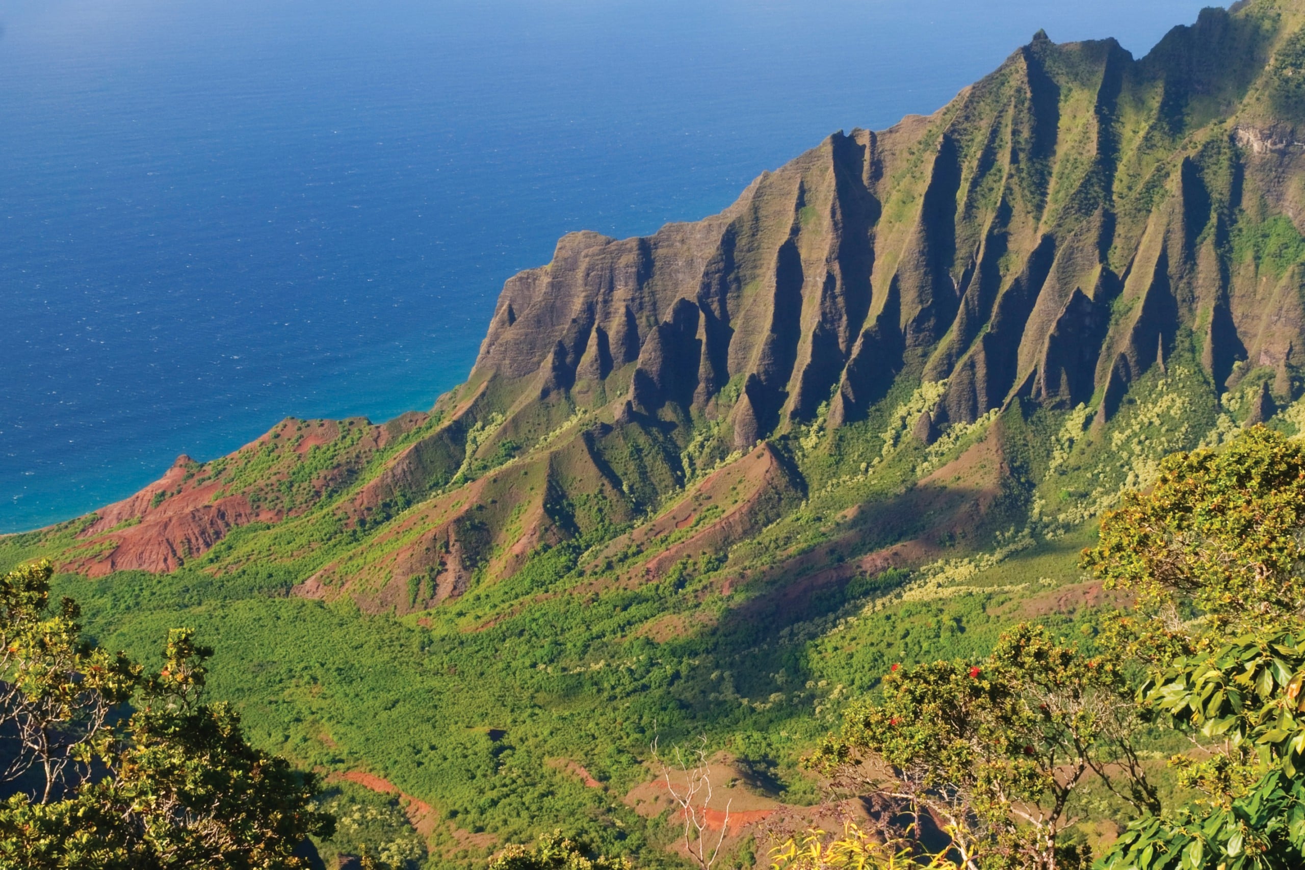 Returning Home to Hawaii After Years Abroad - Hawaii Business Magazine