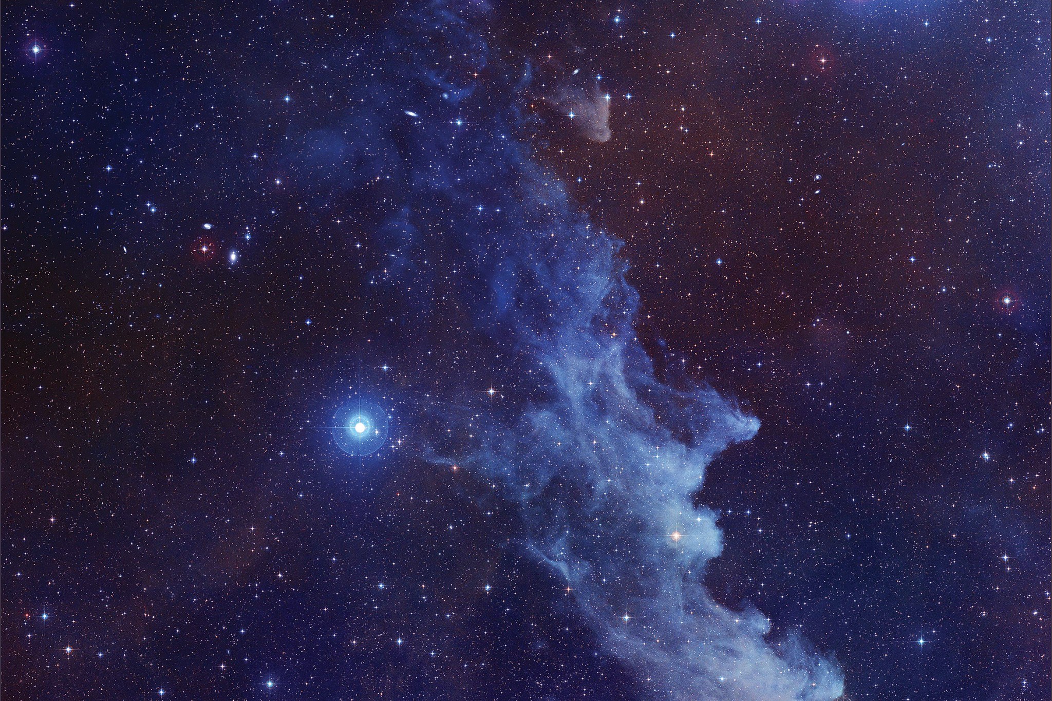 Stars Above Hawaii - Hawaii Business Magazine