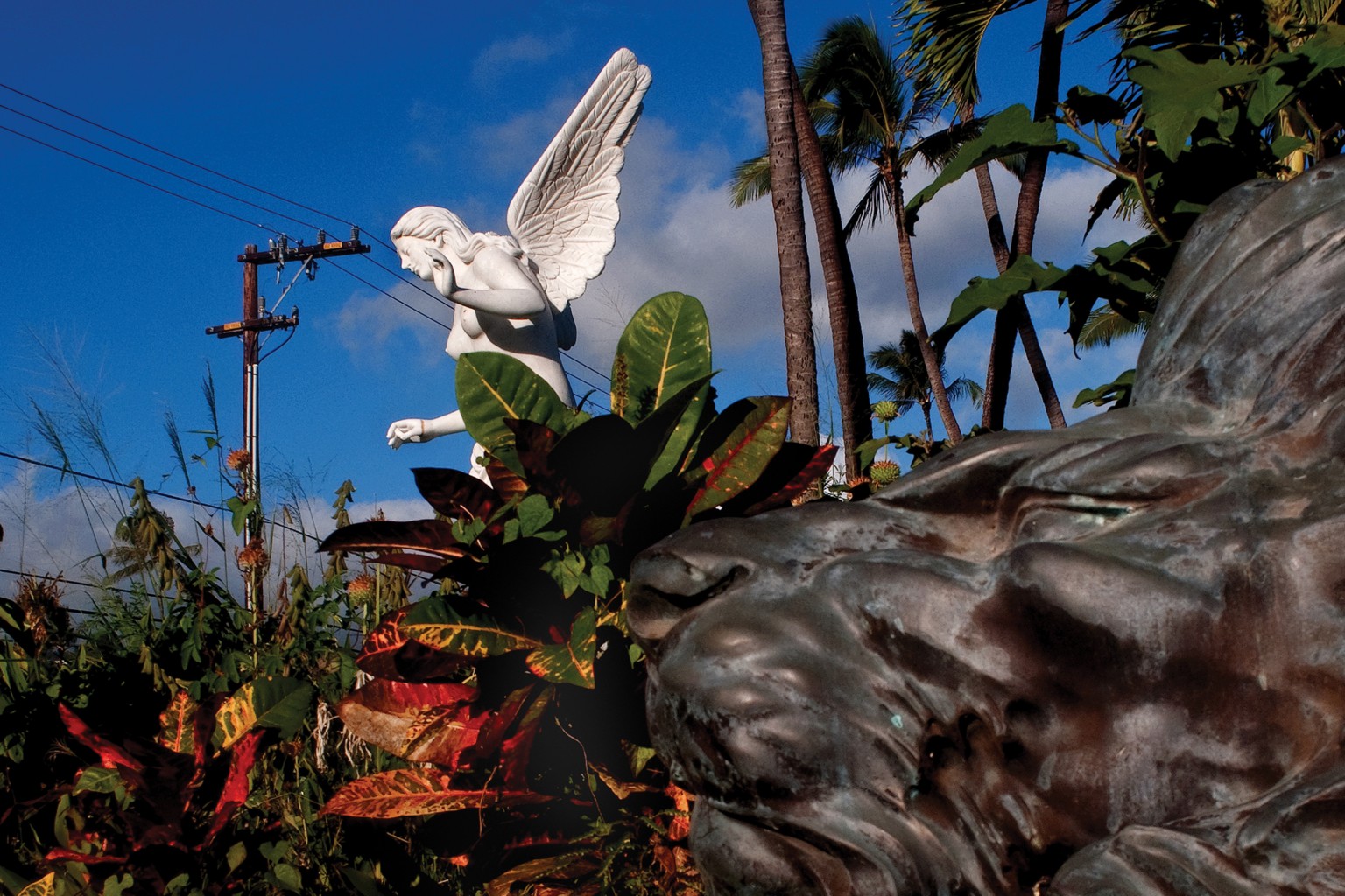 Kahala Renaissance - Hawaii Business Magazine