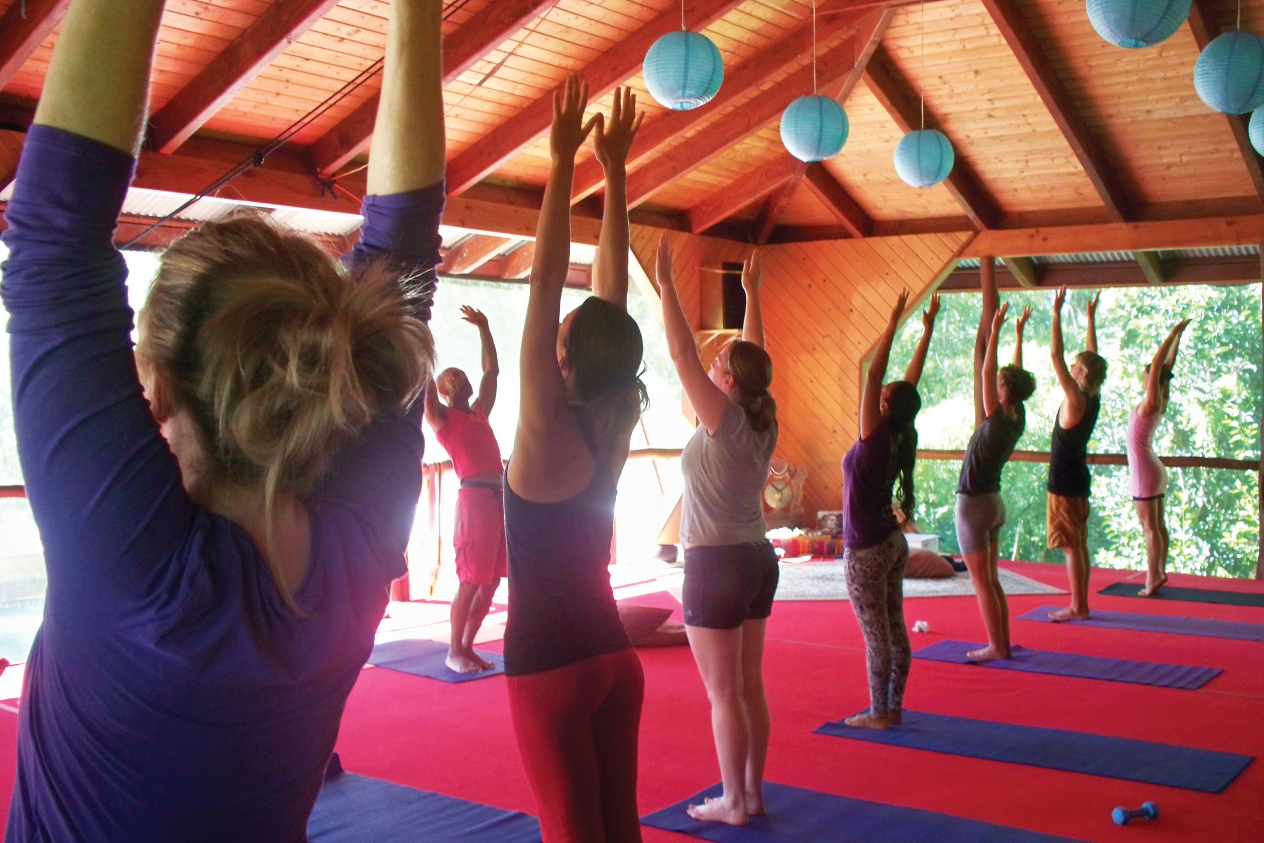 Train to be a Yoga Master - Hawaii Business Magazine
