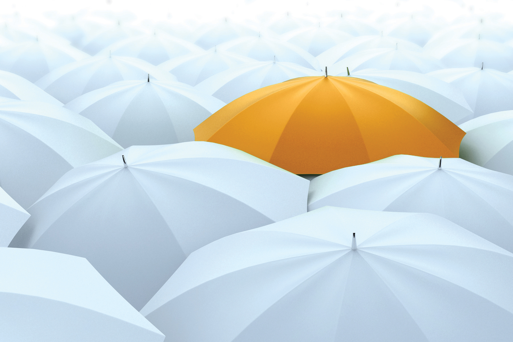 Editor's Note: I’m Trying to Understand My Privilege - Hawaii Business ...