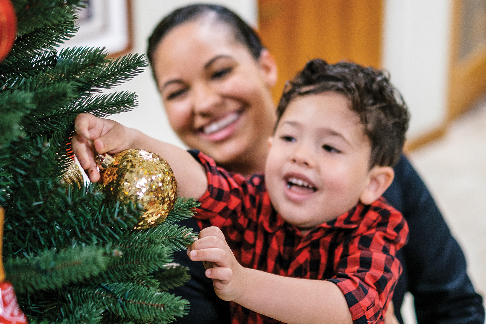 Acts of Aloha: Need Knows No Season [Sponsored] - Hawaii Business Magazine