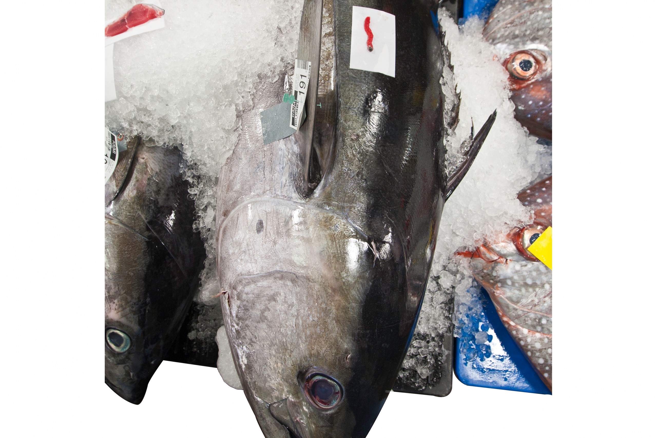 What it's worth? Big Fish. - Hawaii Business Magazine