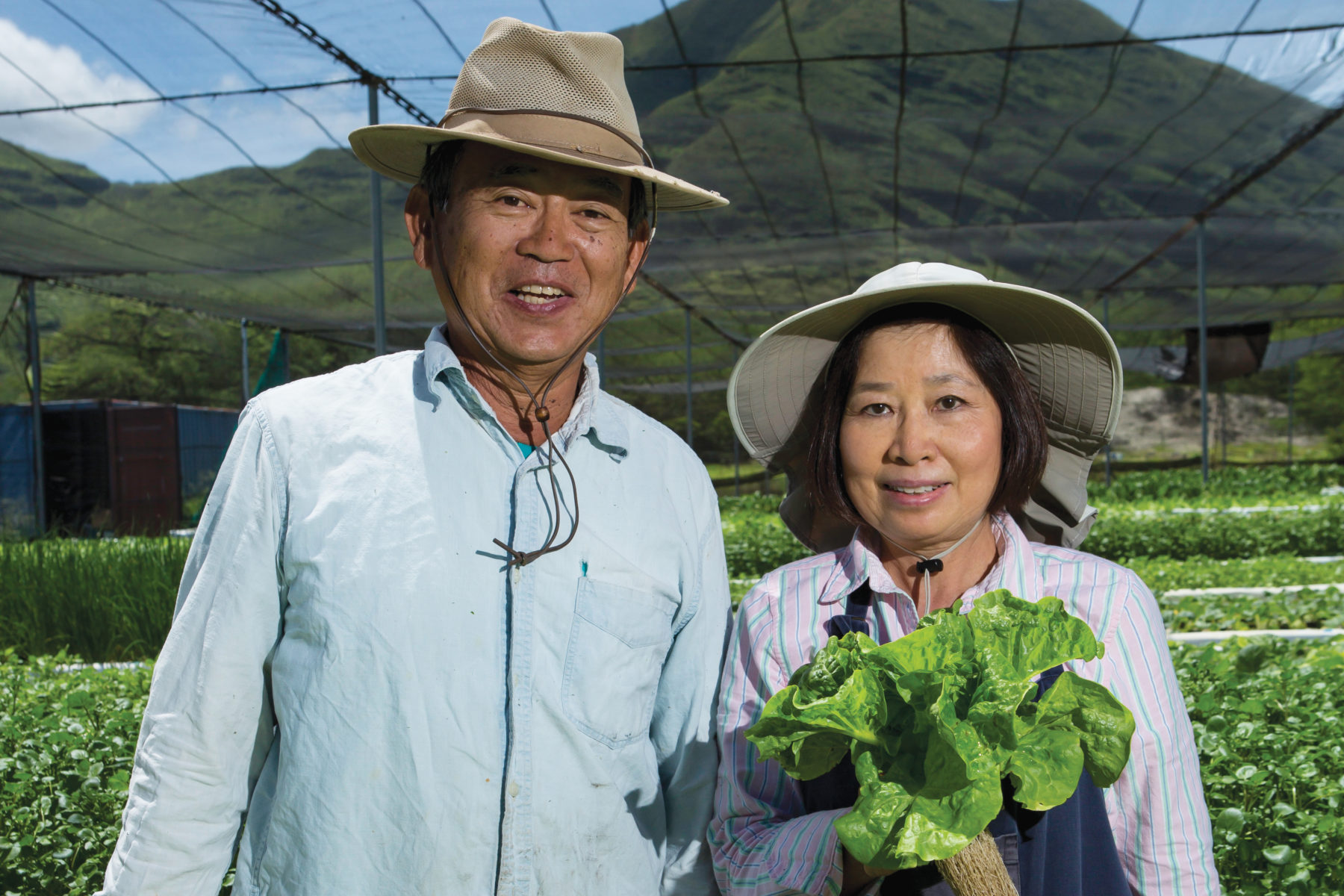 Everyone Wants to Help - Hawaii Business Magazine