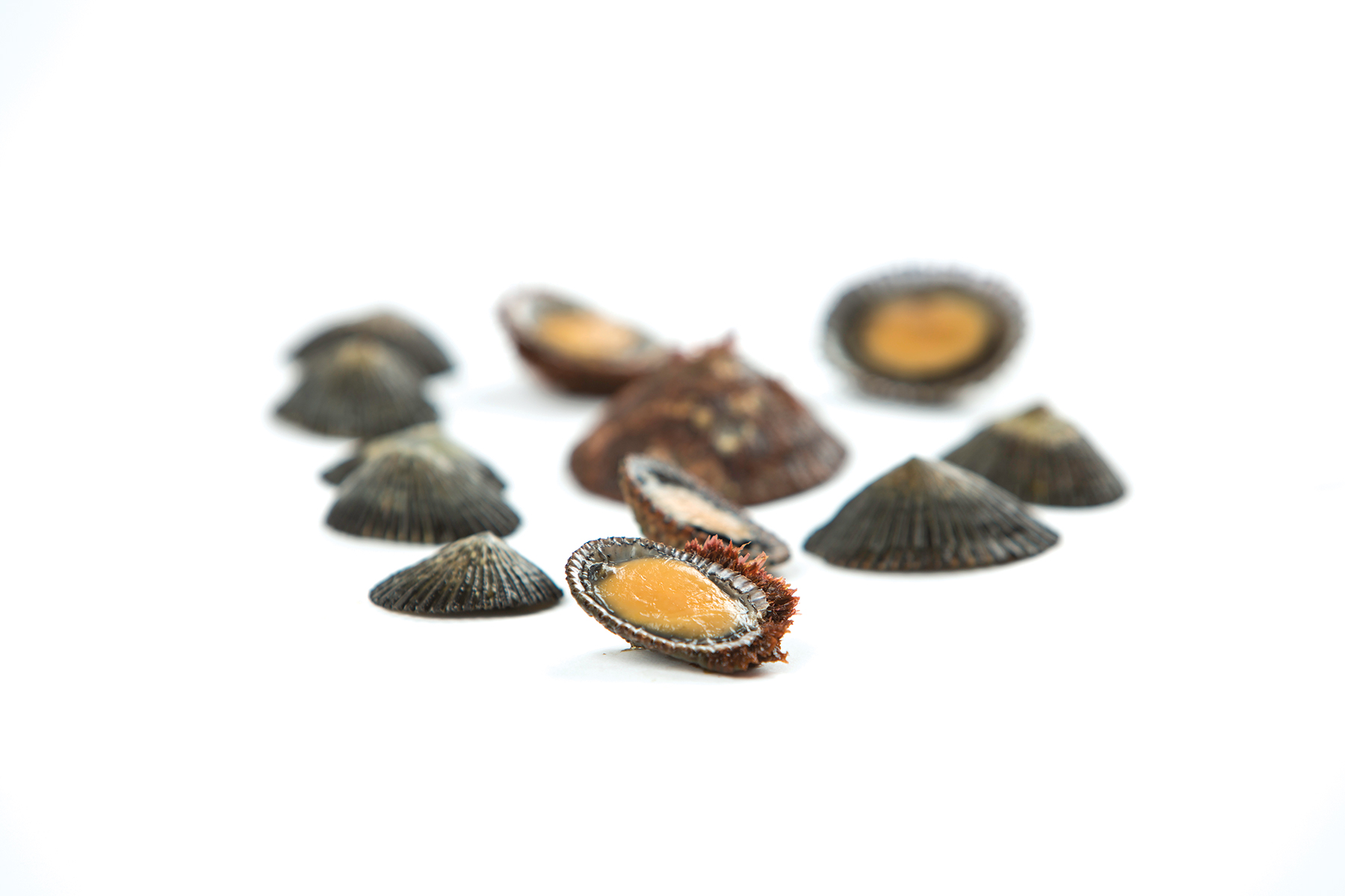 We May Love Opihi Too Much - Hawaii Business Magazine