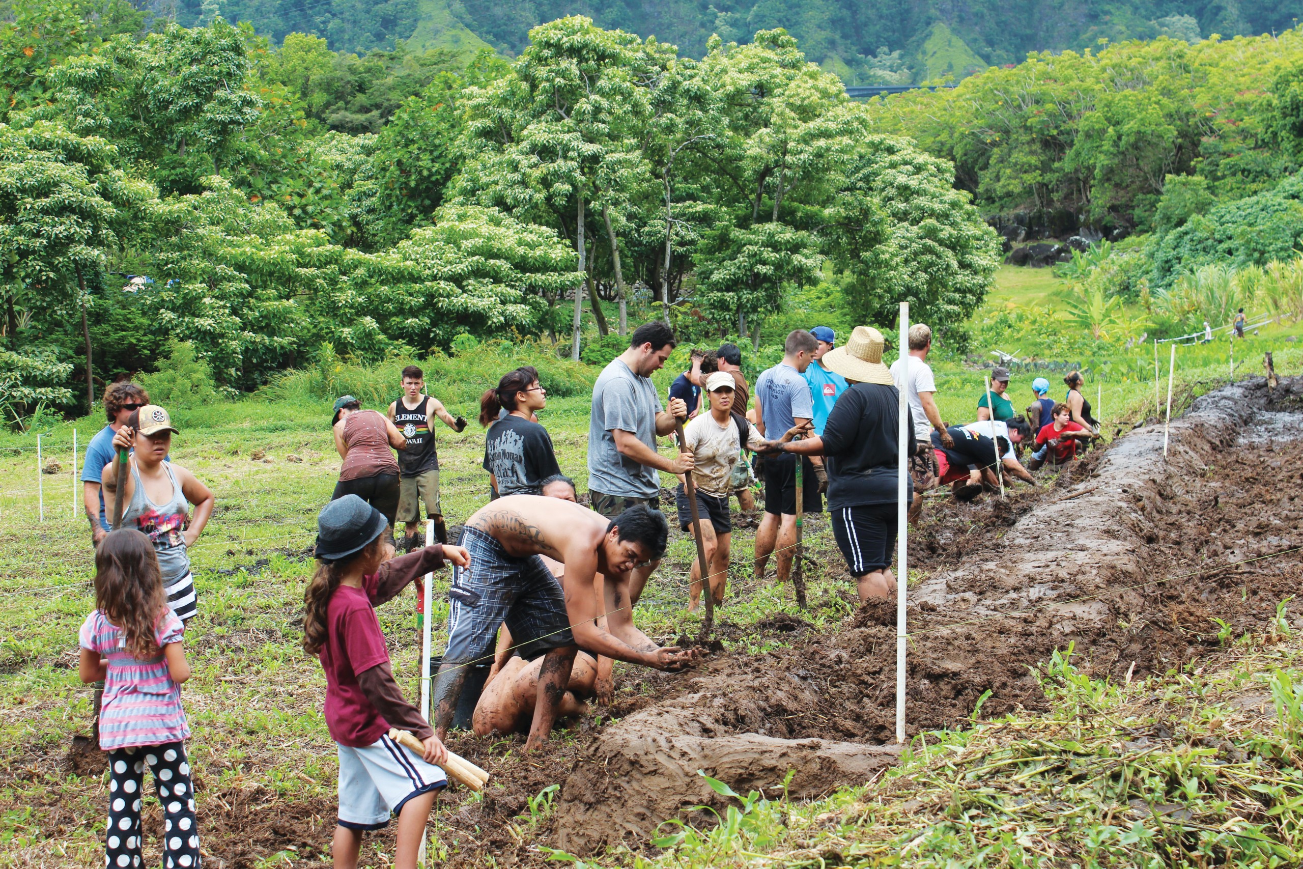Return to Your Roots - Hawaii Business Magazine