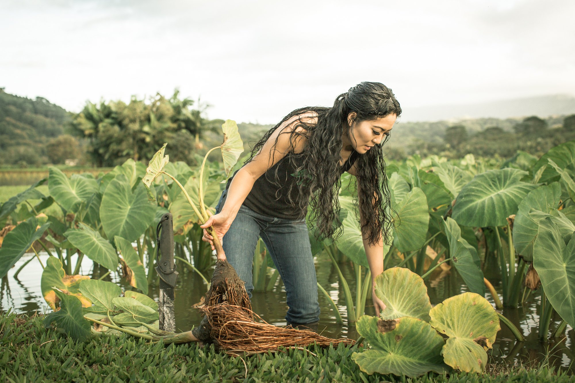 60 Second C-Suite: Lyndsey Haraguchi-Nakayama [Sponsored] - Hawaii ...