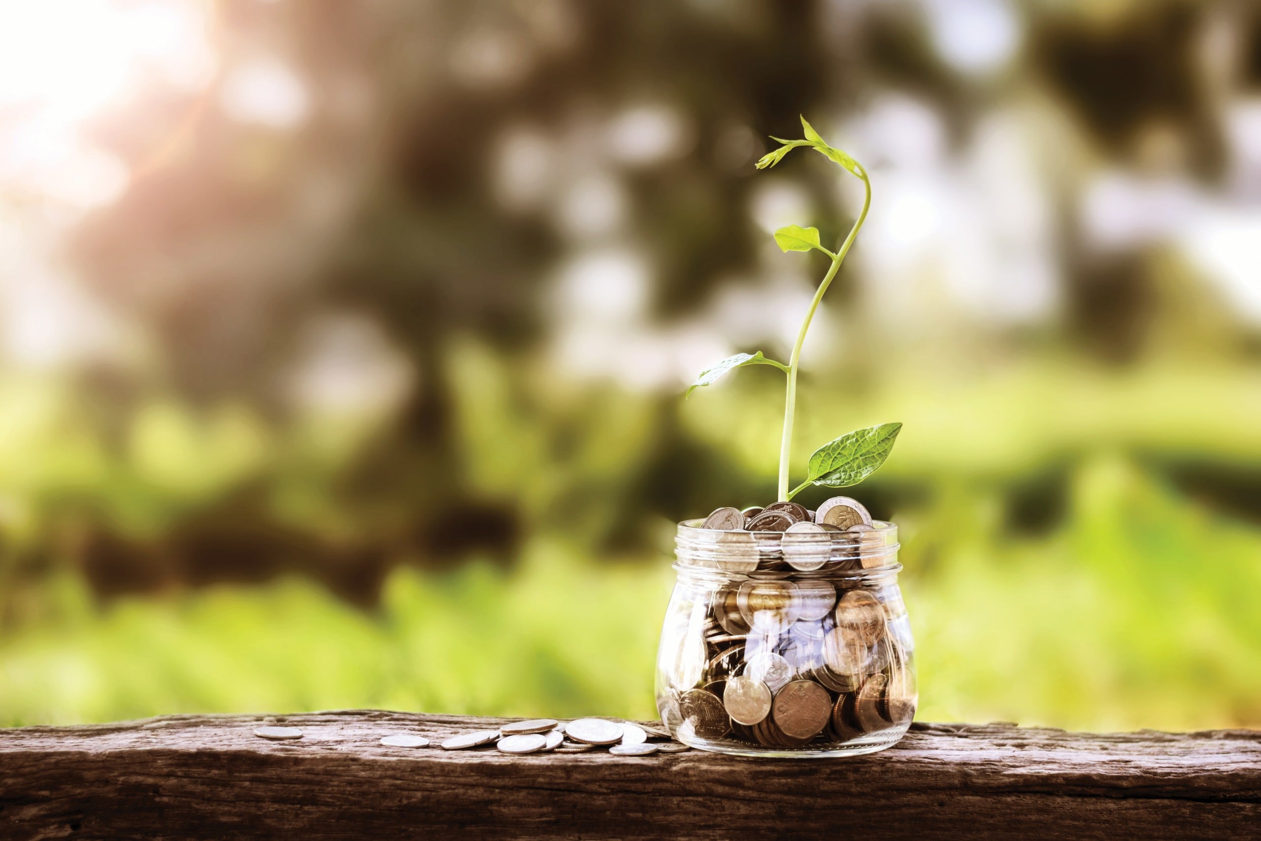 5 Steps to a Lasting Legacy - Hawaii Business Magazine