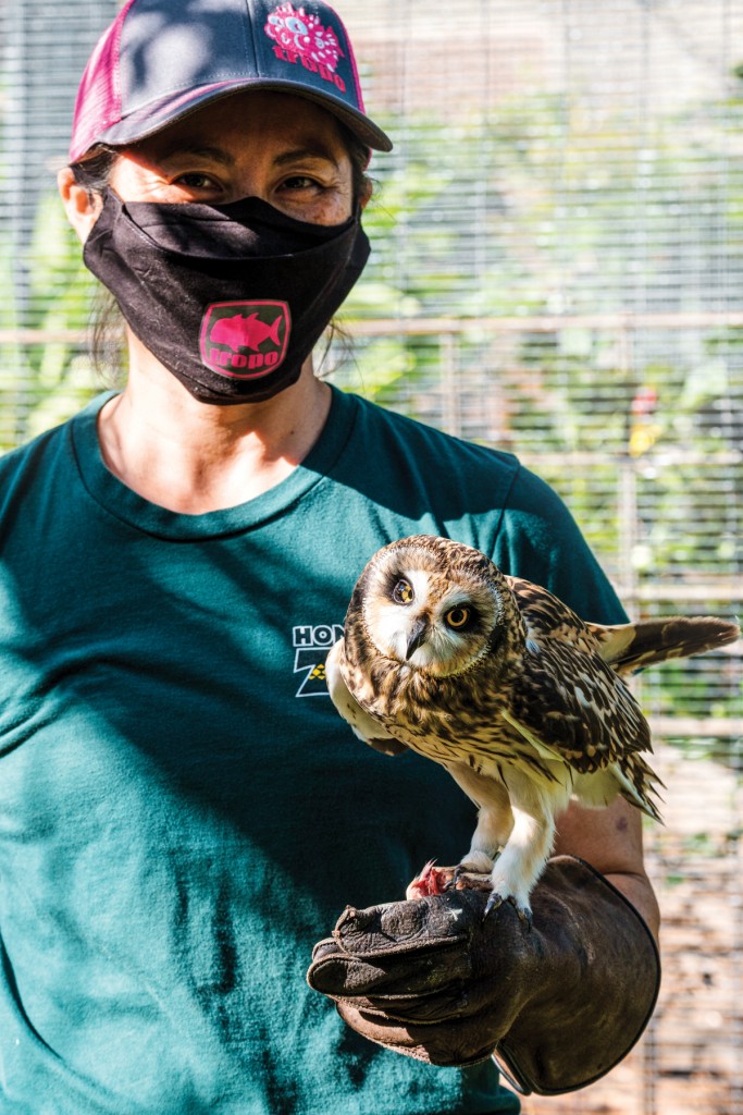 A Pueo and His Keeper - Hawaii Business Magazine
