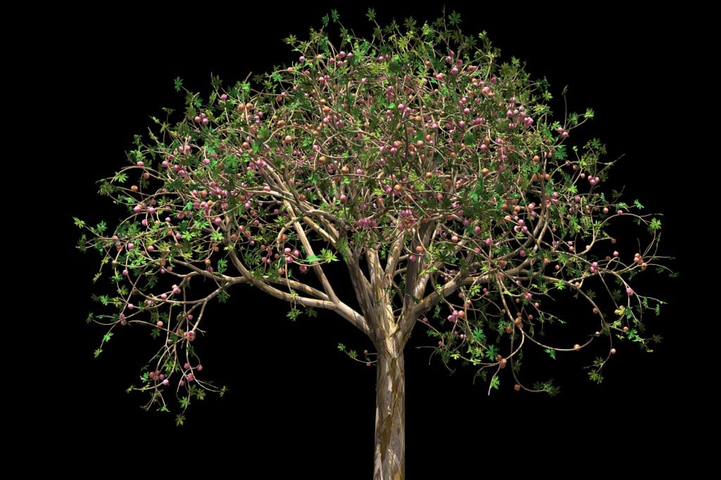 Refining and Reimagining a Collection - Hawaii Business Magazine