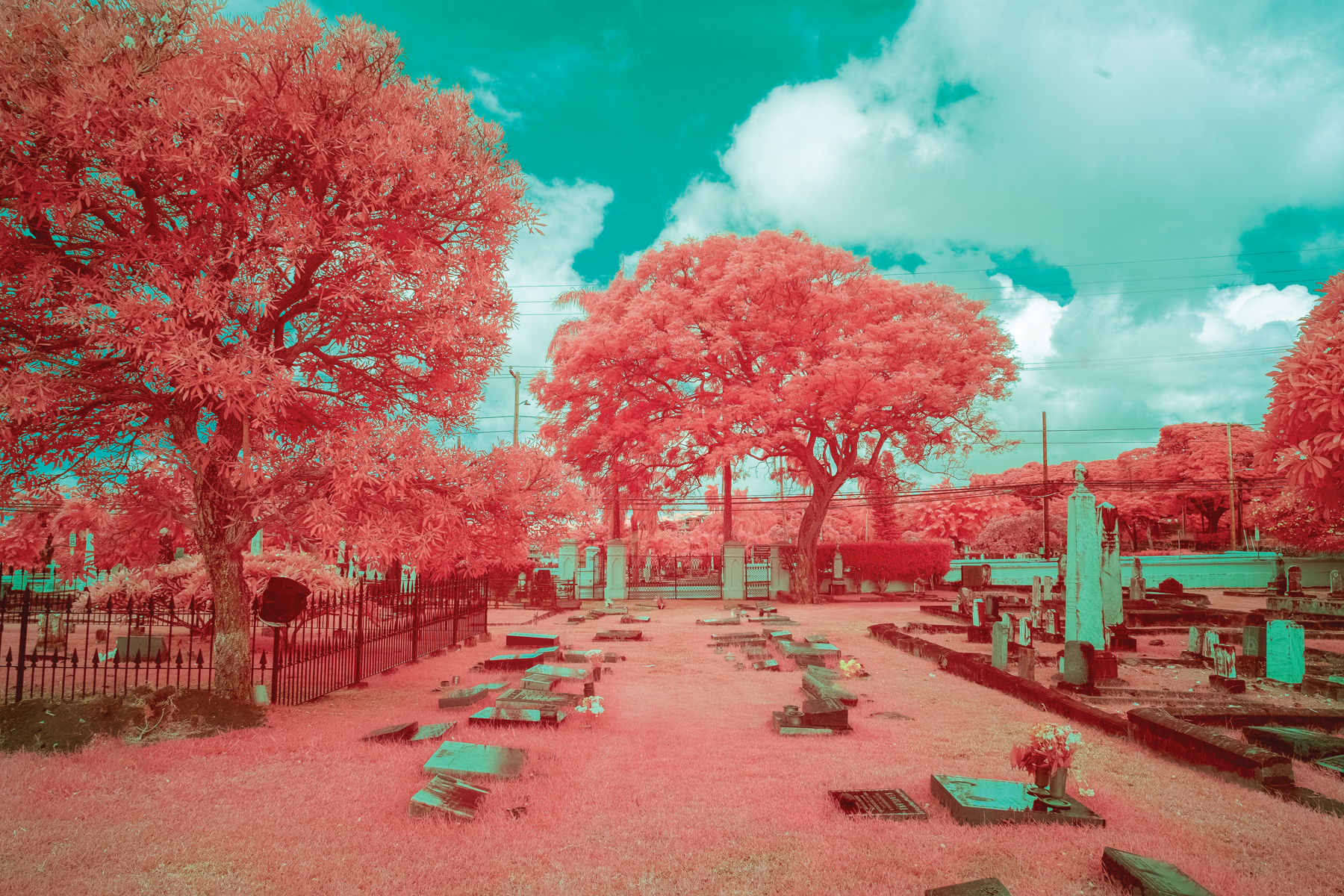 Thinking About Death Should be Part of Your Life - Hawaii Business Magazine