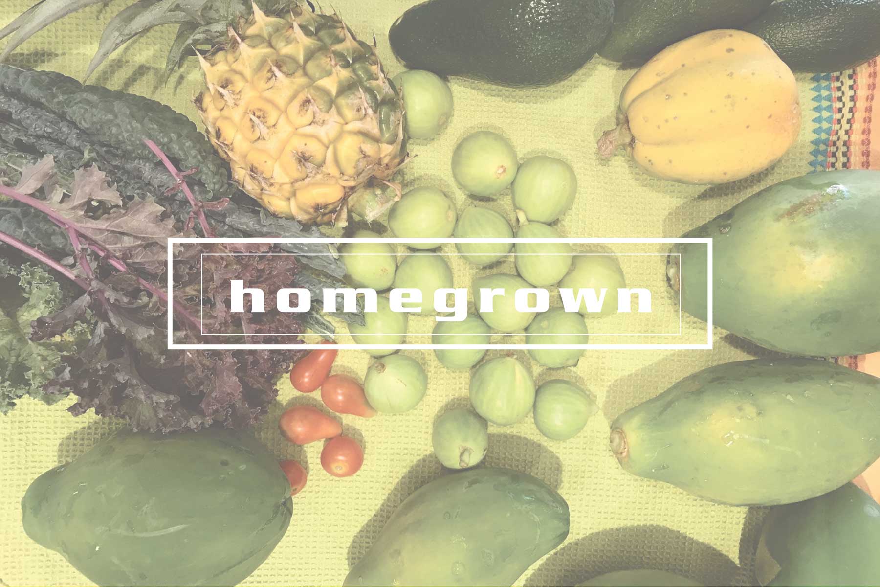 Food Sustainability, What can we do as individuals? │ G70’s Sheryl ...