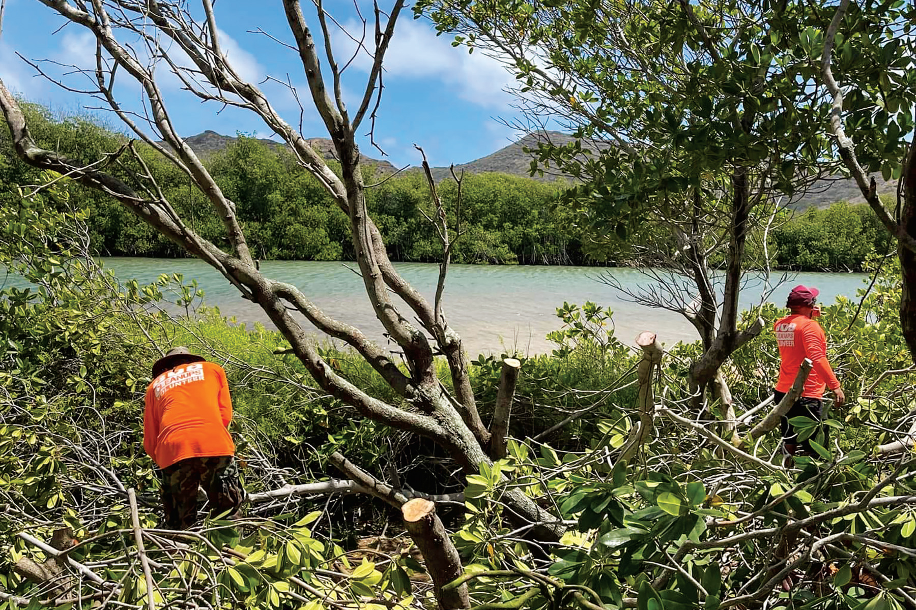 808 Cleanups Shares the Concept of Aloha ‘Āina - Hawaii Business Magazine