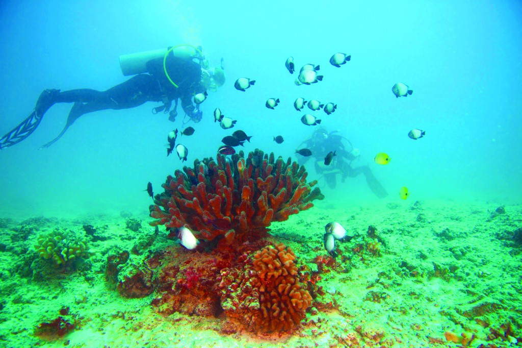 How the University of Hawai‘i Diversifies the Economy and Nurtures ...