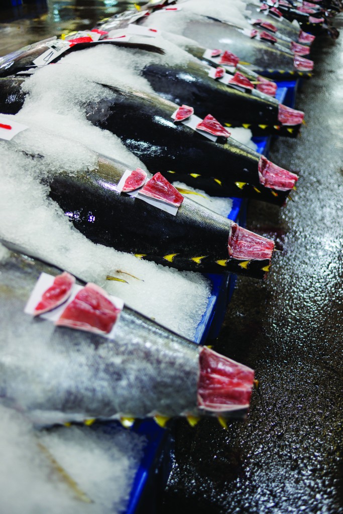 The Honolulu Fish Auction Celebrates Its 70th Anniversary - Hawaii ...