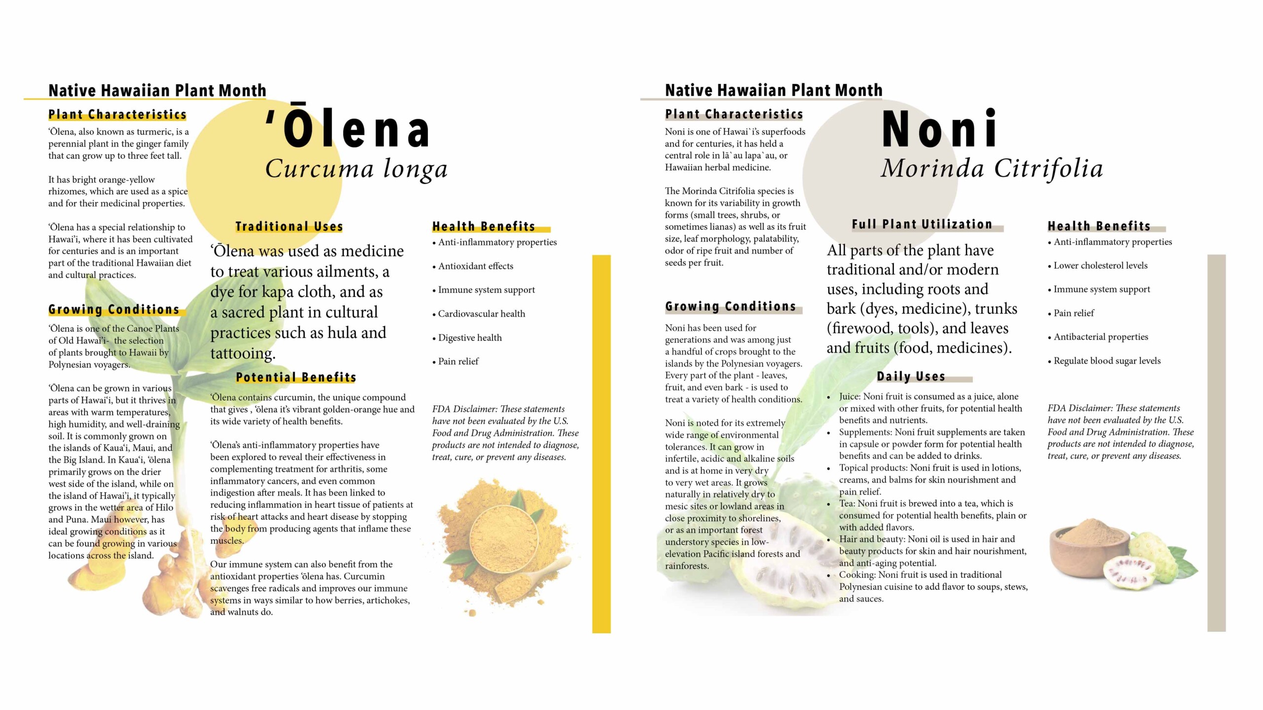 Achieving Wellness Through Native Hawaiian Plants - Hawaii Business ...