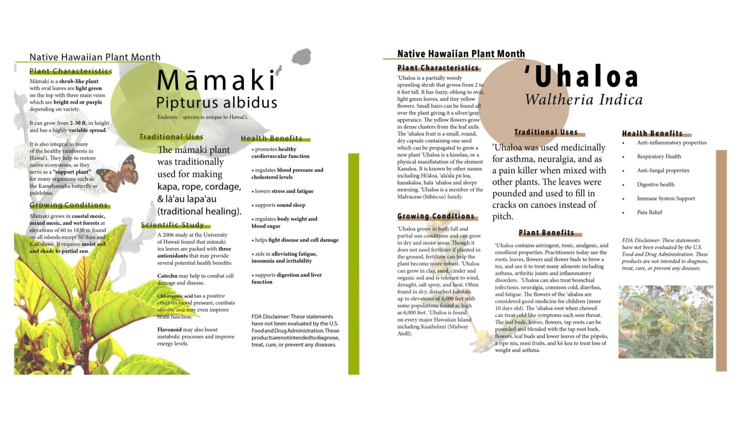 Achieving Wellness Through Native Hawaiian Plants - Hawaii Business ...
