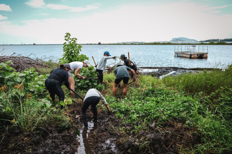 Hawaii's Best Places to Work 2013 - Hawaii Business Magazine