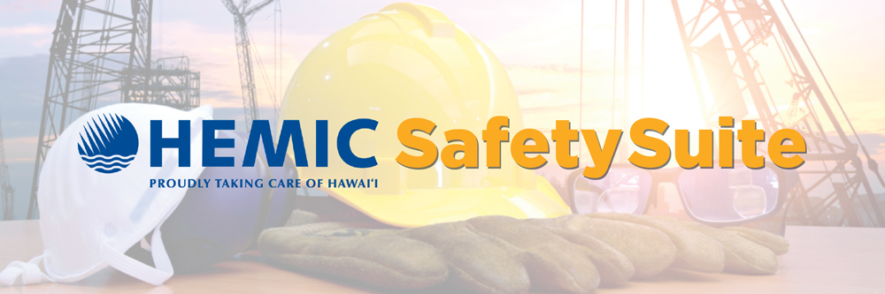 Q3 Business Insurance Outlook feat. HEMIC - Hawaii Business Magazine