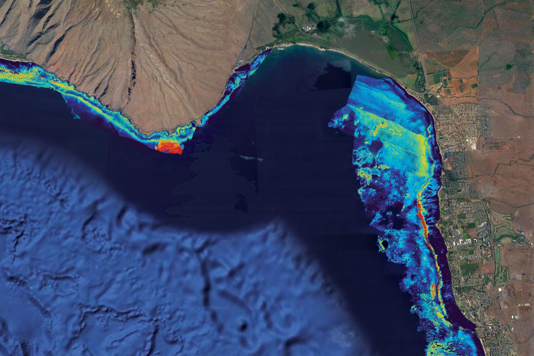 Cesspools Are Killing Hawai‘i’s Coral – But It Doesn’t Have to Be That ...