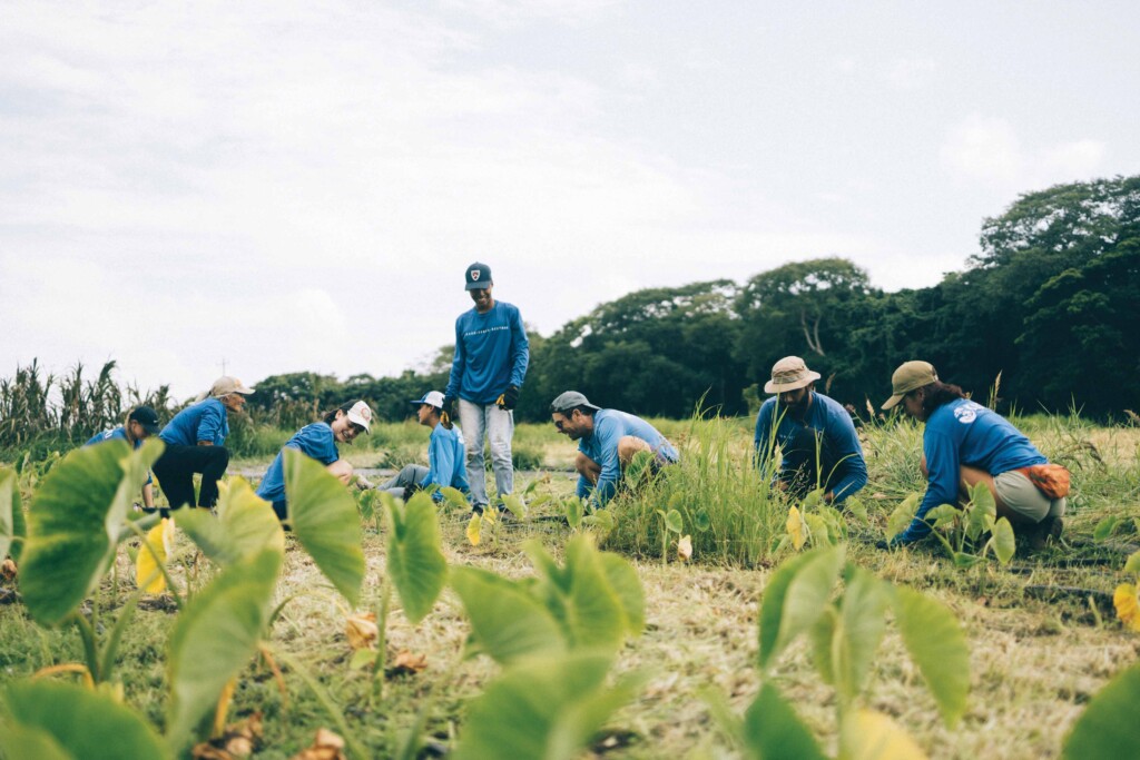 Hawai‘i’s Most Charitable Companies 2023 - Hawaii Business Magazine