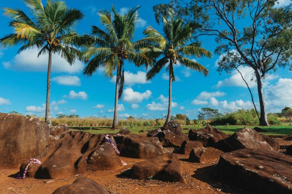 U.S. Military Works with Local Partners to Protect Hawai‘i’s Natural ...