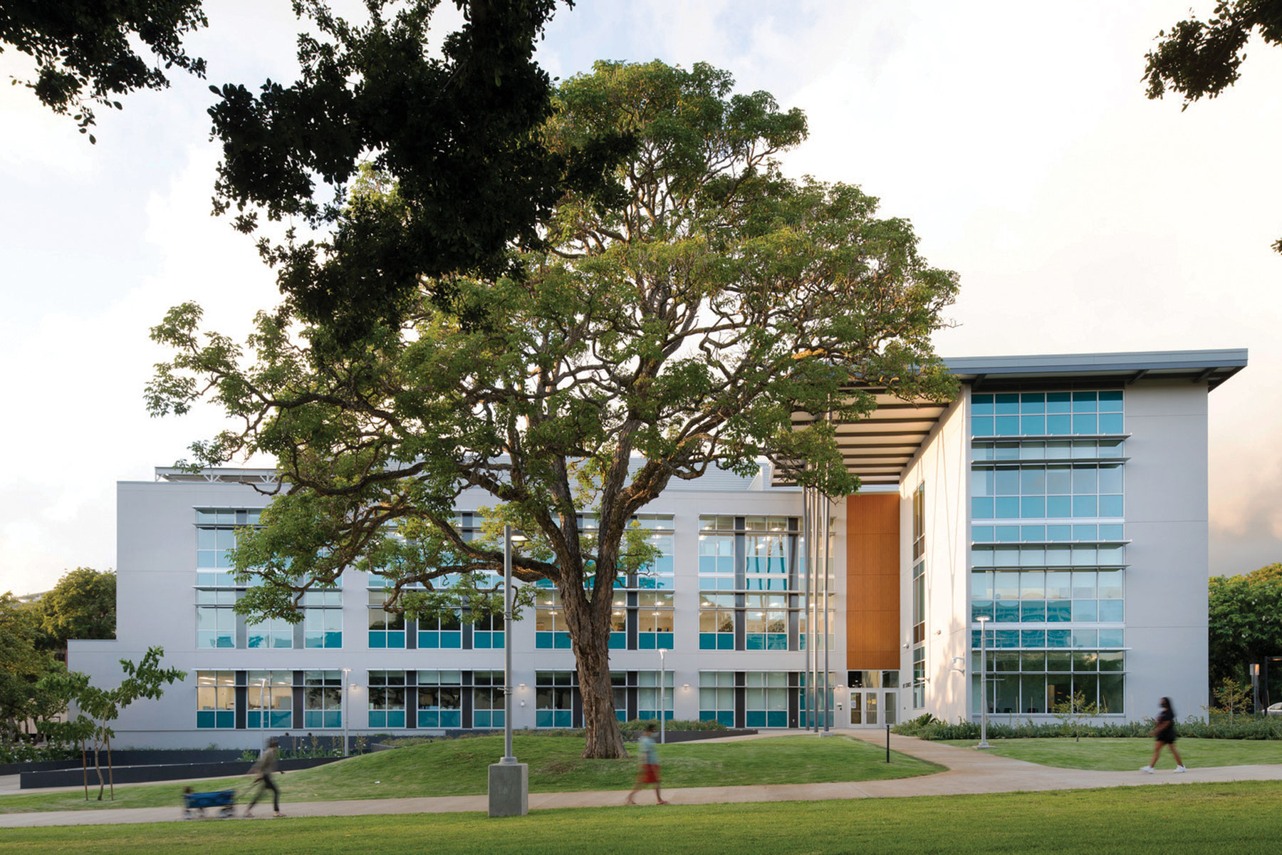 David Lassner on Challenges, Finances, TMT and Calm at UH - Hawaii ...