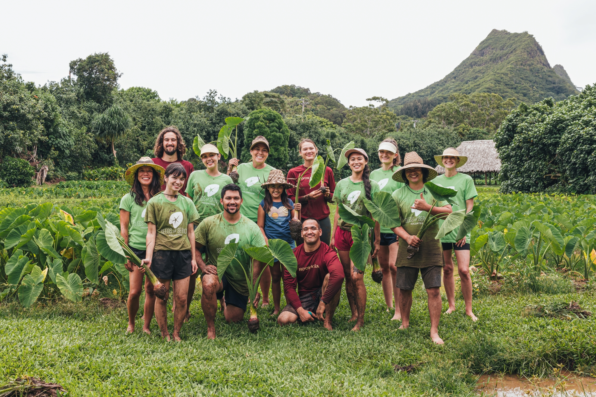 American Savings Bank Recognized as One of Hawaii’s Best Banks for the ...
