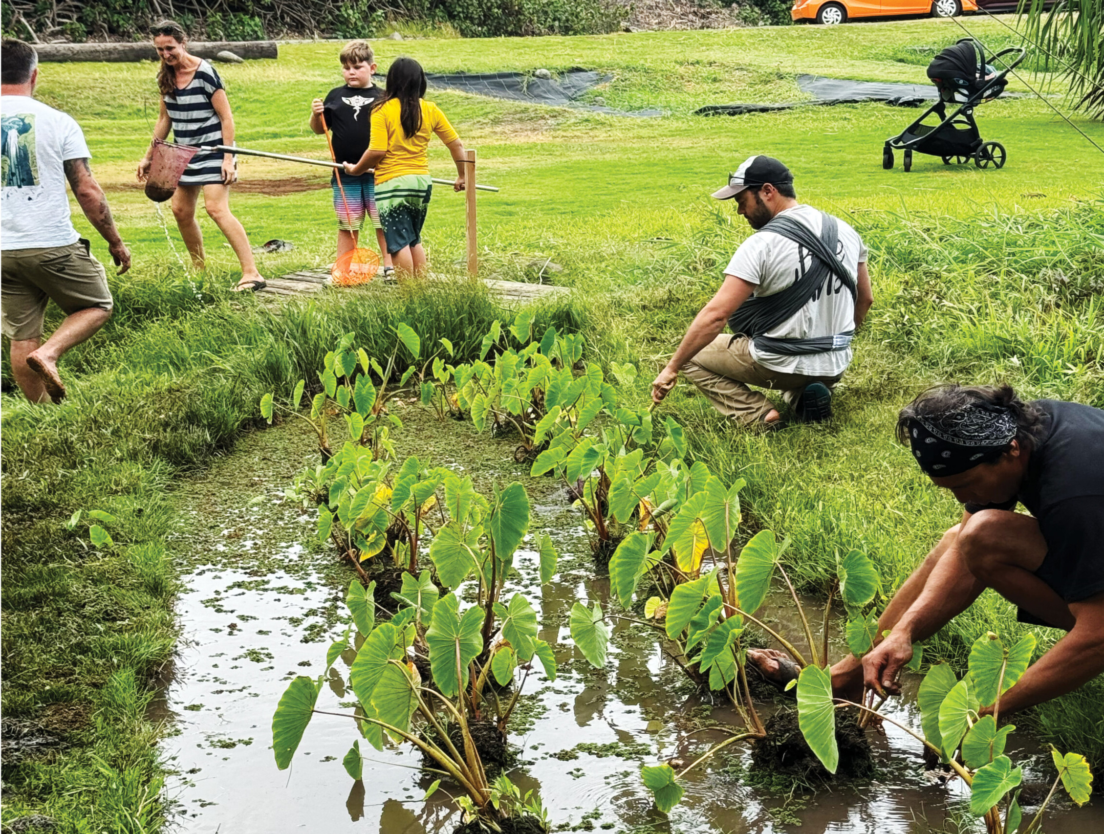 Holistic Mental Health Key to Maui’s Recovery - Hawaii Business Magazine
