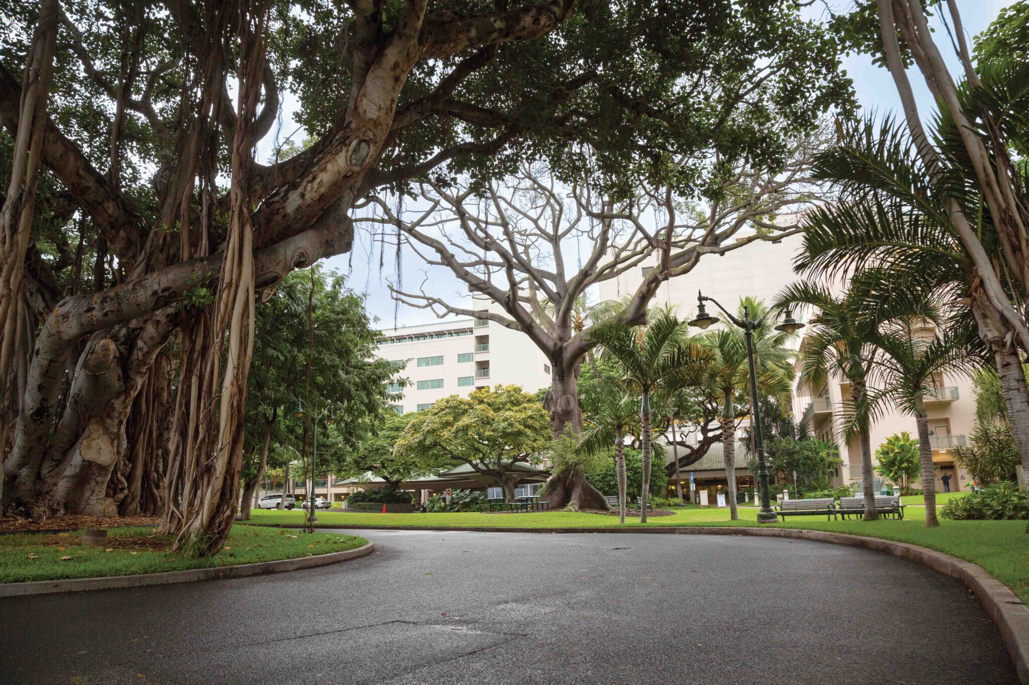 Meet Jason Chang, the New CEO of Queen’s - Hawaii Business Magazine