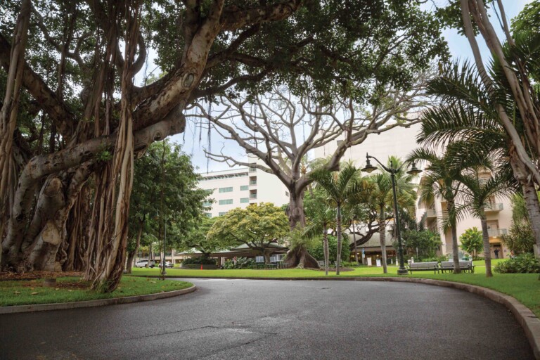 Meet Jason Chang, the New CEO of Queen’s - Hawaii Business Magazine