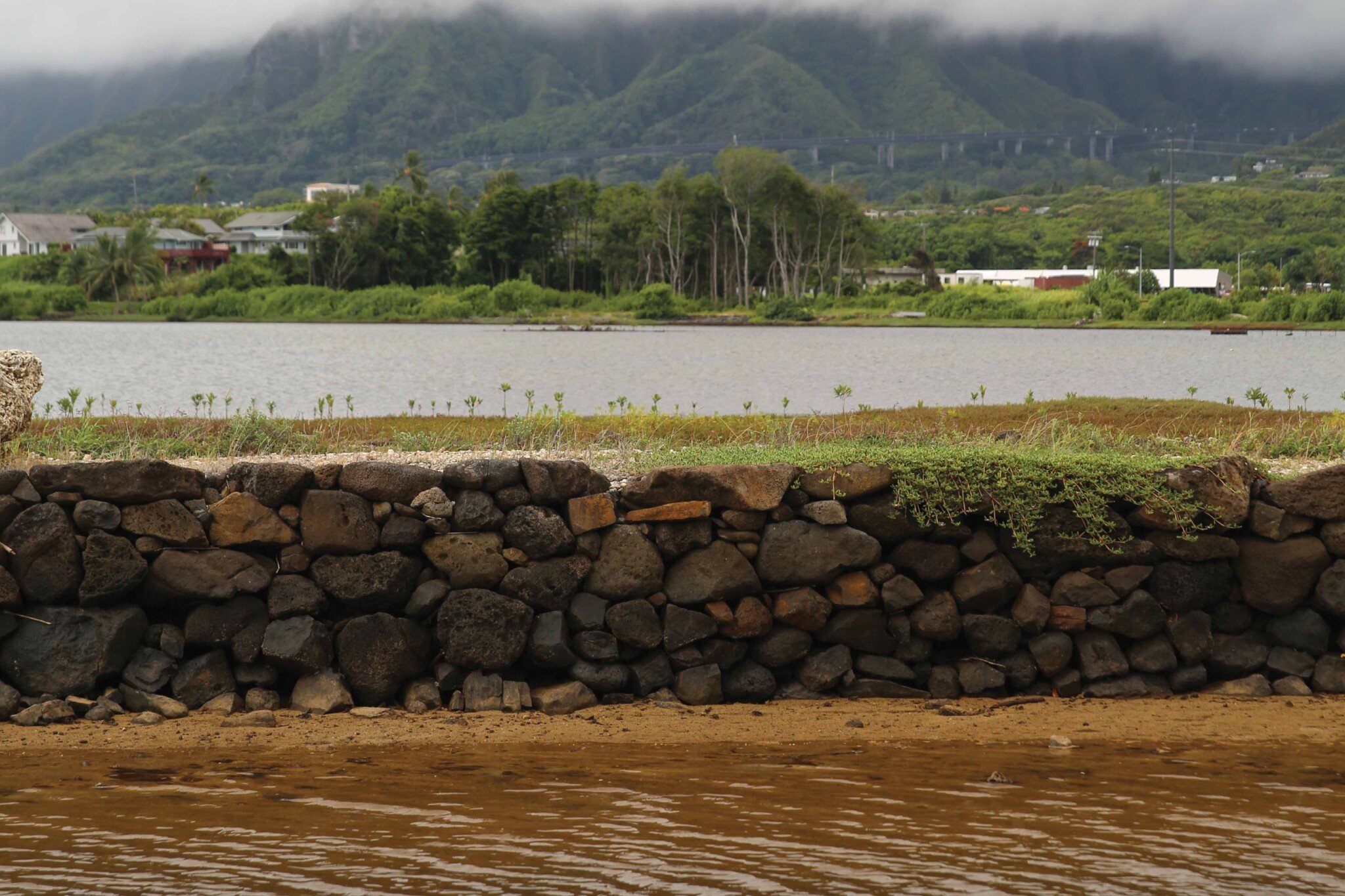 Restoration of He‘eia Fishpond Nears a Major Milestone - Hawaii ...