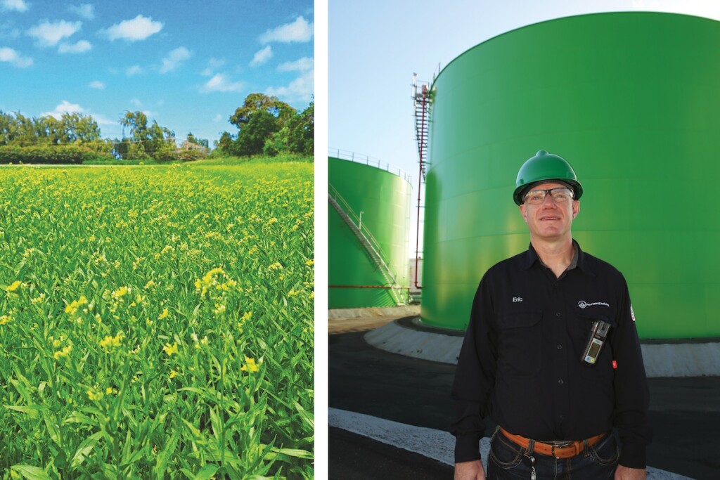 The Tiny Oilseed That Could Help Power Hawai‘i’s Energy Future - Hawaii Business Magazine