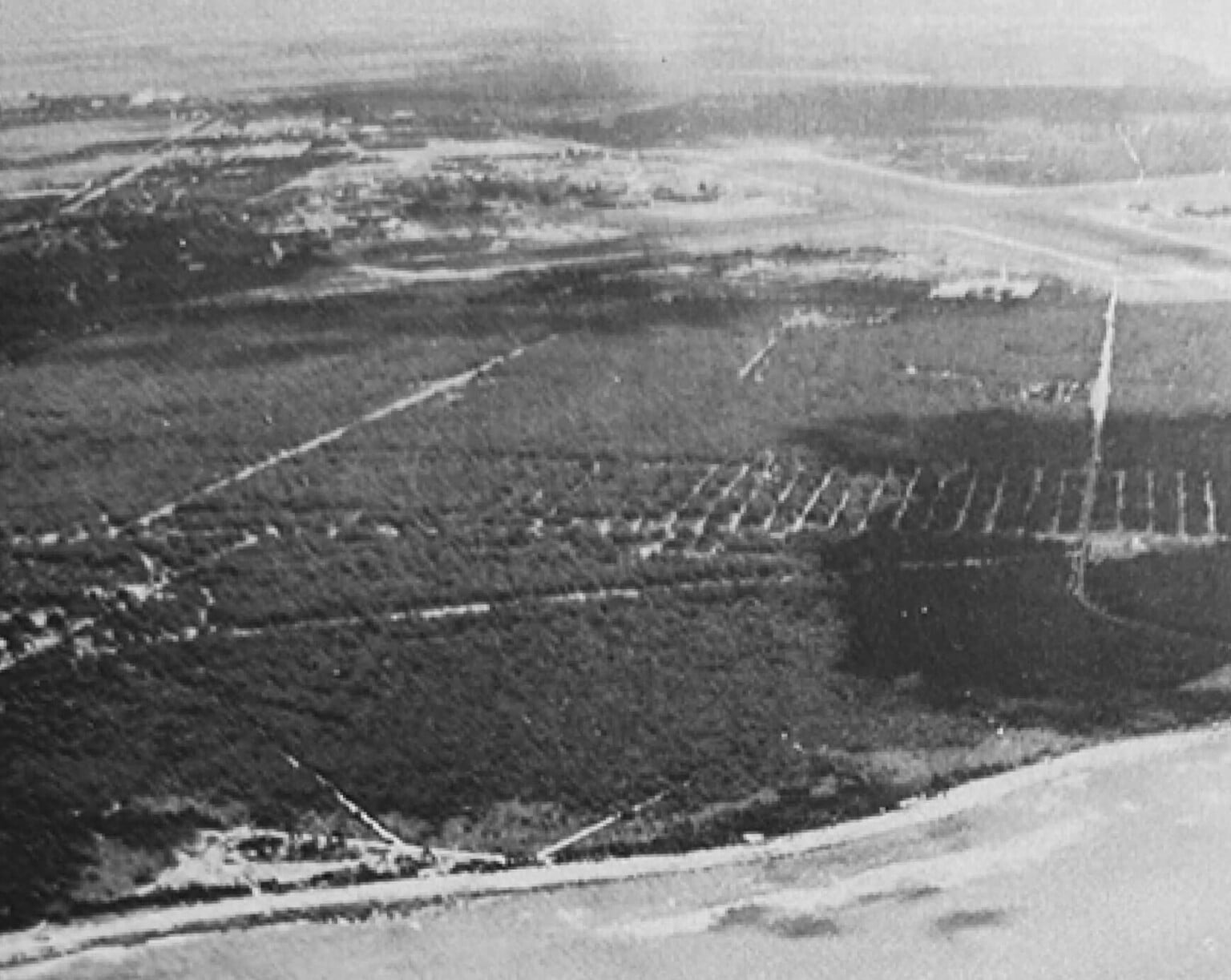 A Look Back at 1959, the Year Hawai‘i Became a State - Hawaii Business ...