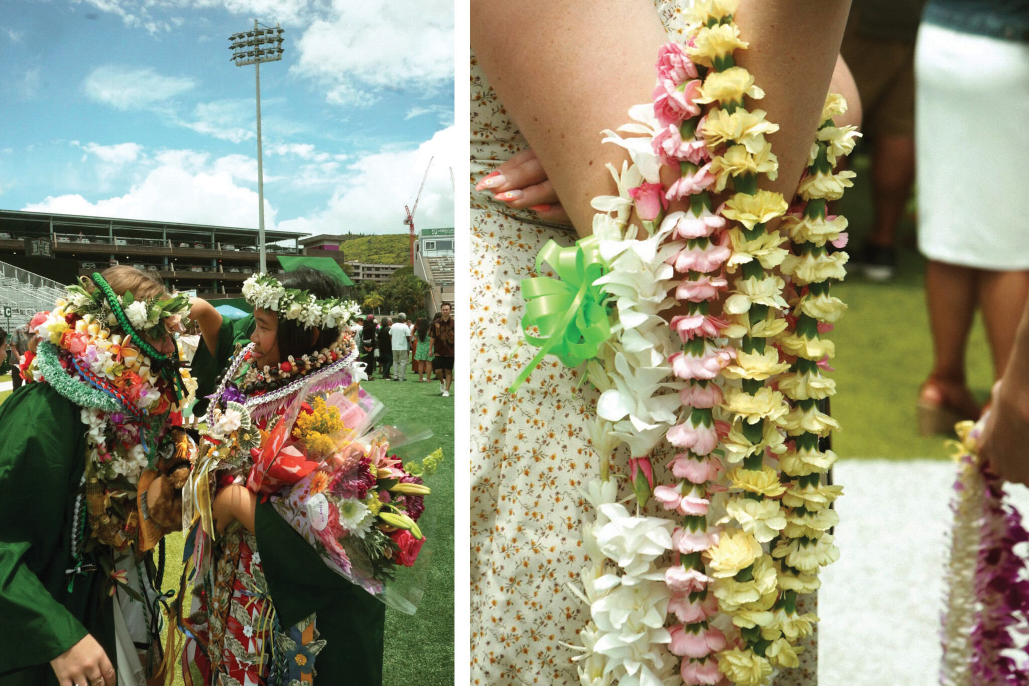Reviving Hawaiʻi’s Lei Industry One Flower at a Time - Hawaii Business ...