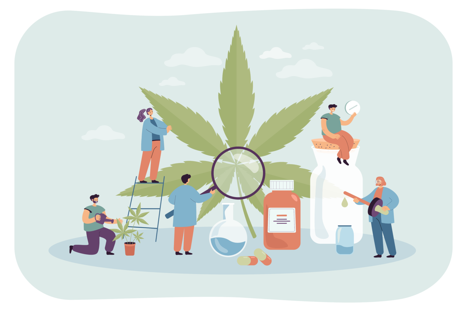Why Hawai‘i’s Cannabis Industry Can No Longer Remain in the Gray ...