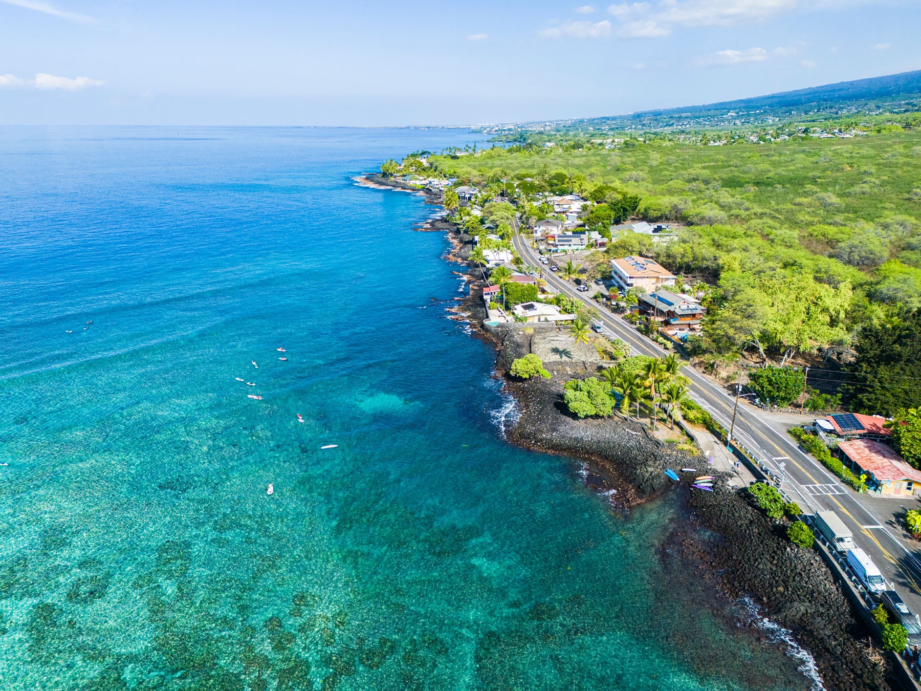 20 for the Next 20: Jay Ana, Young Brothers - Hawaii Business Magazine