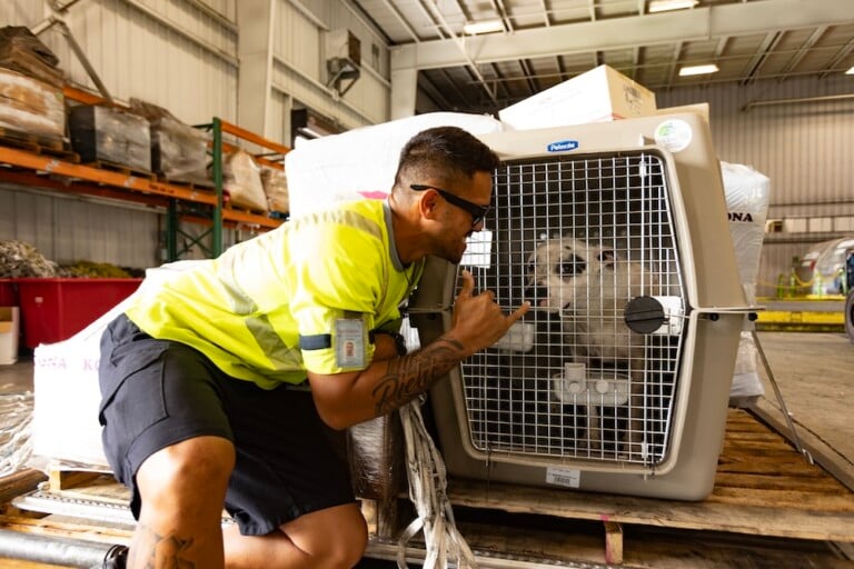 Keeping Hawaii Connected, One Delivery at a Time - Hawaii Business Magazine