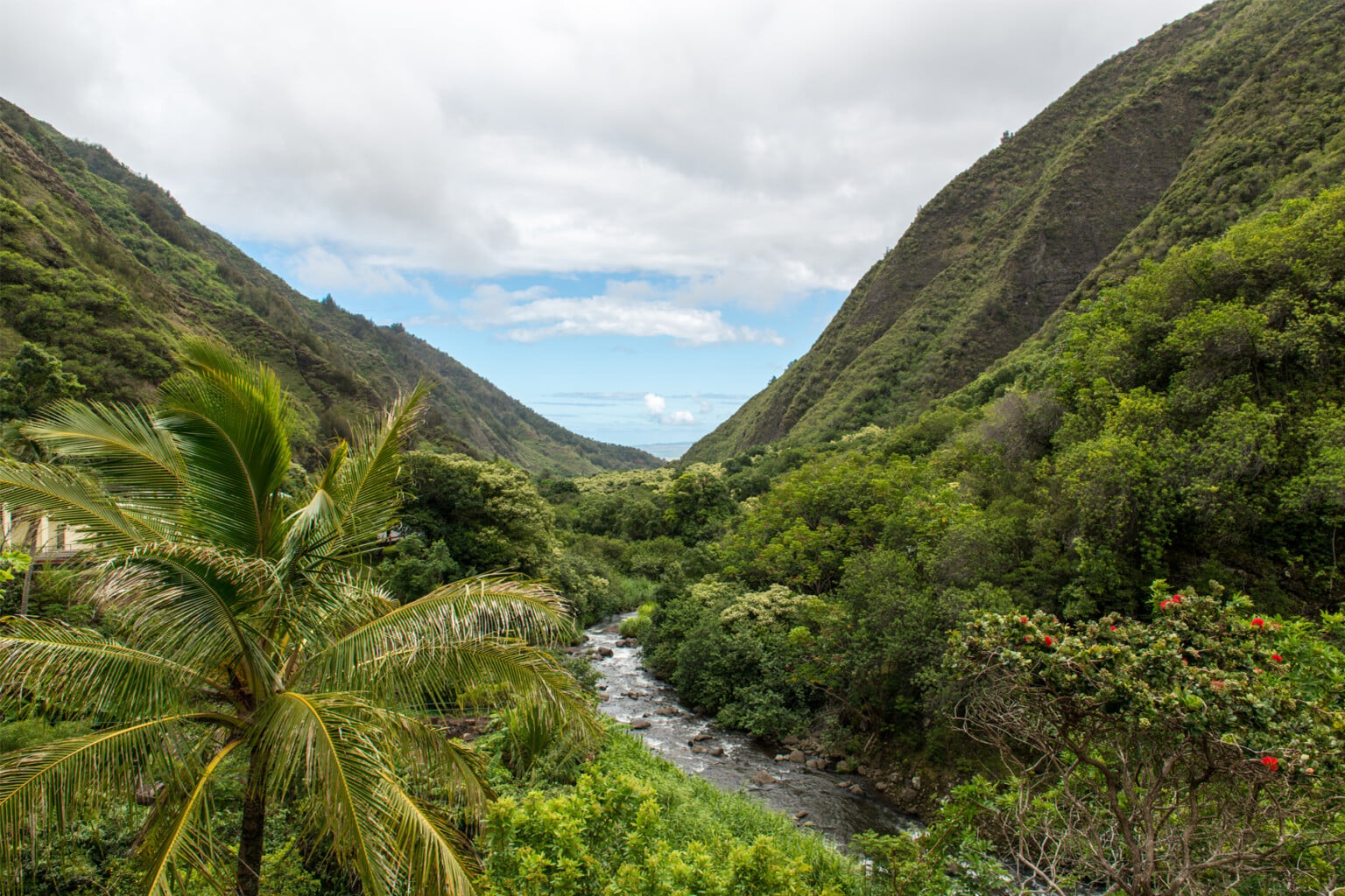 West Maui Advocates Seek to Make Water a Public Resource - Hawaii ...