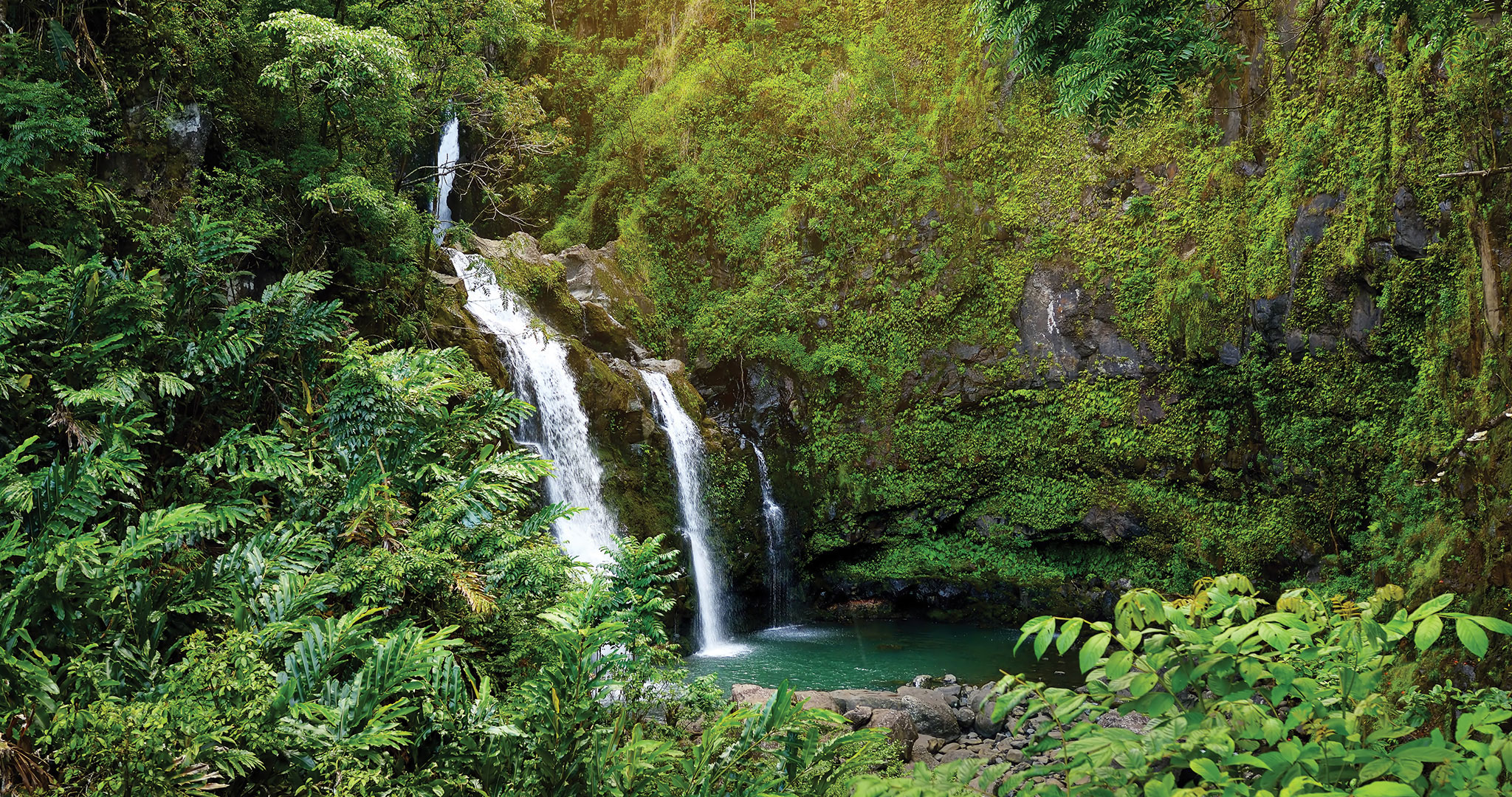 Green Hawaii 2020 - Hawaii Home + Remodeling