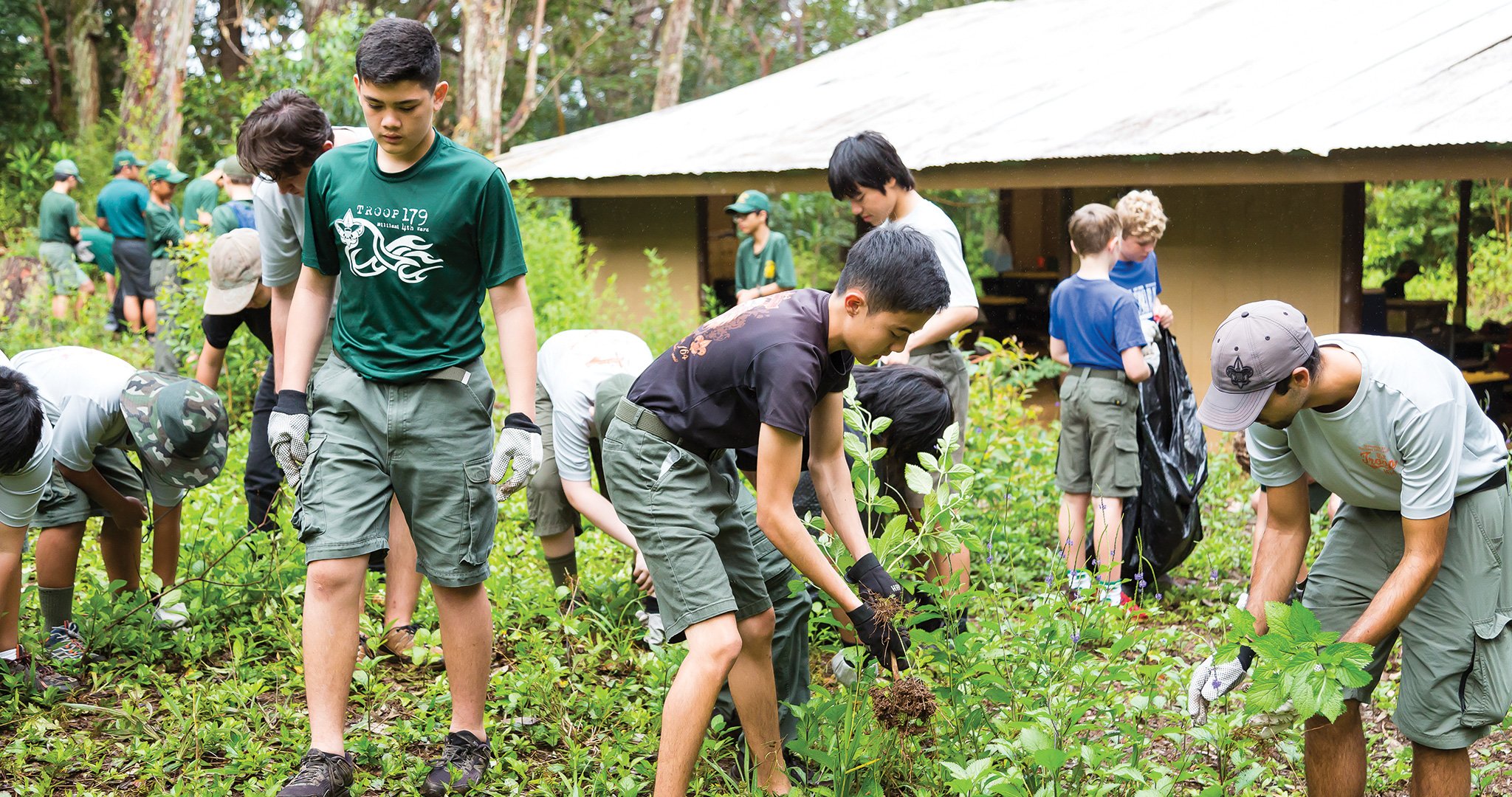 Boy Scouts Work Together to Improve the Community - Hawaii Home ...