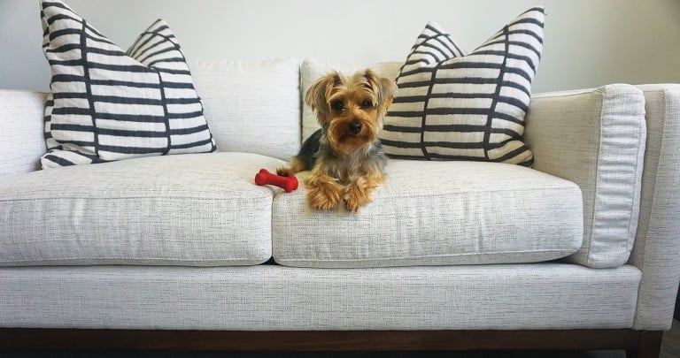 Editor's Notes: August 2019 - Hawaii Home + Remodeling