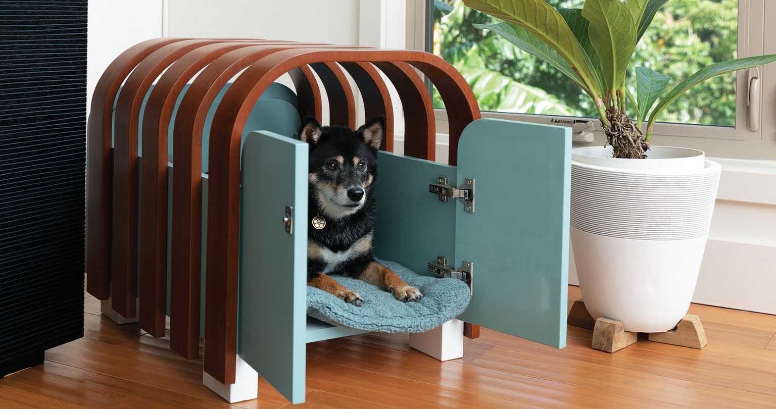 Designing a Home with Pets in Mind - Hawaii Home + Remodeling