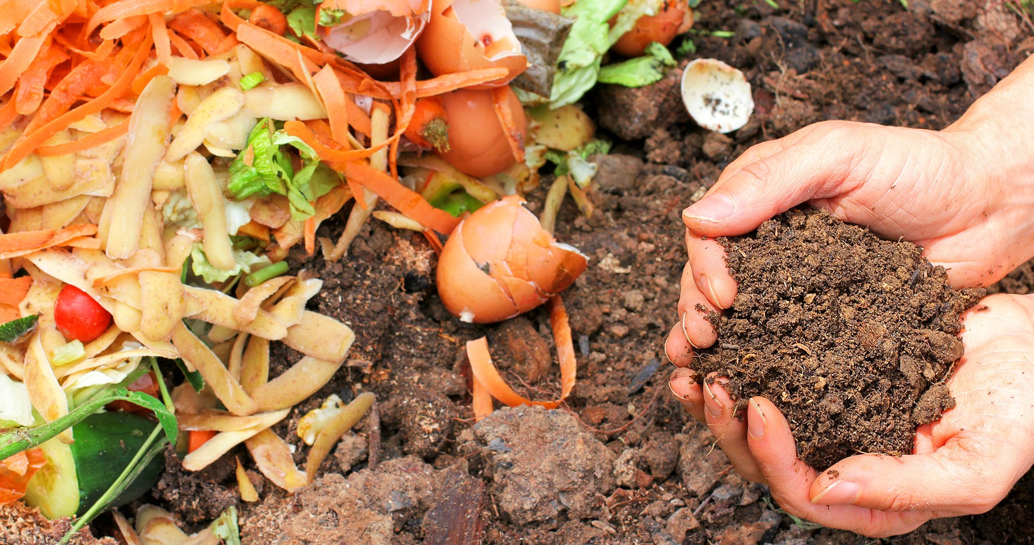It's National Learn About Composting Day - Hawaii Home + Remodeling